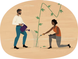 Oracle NetSuite Cloud ERP - 5 Star Oracle NetSuite Partner