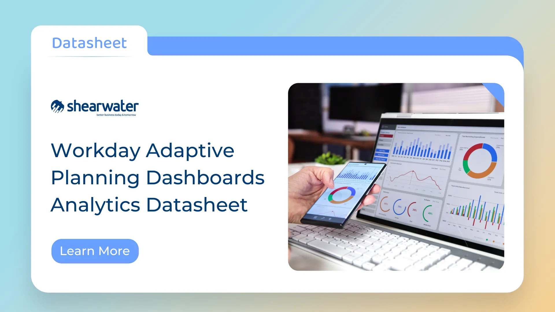 Workday Adaptive Planning Dashboards Analytics Datasheet - Shearwater Asia
