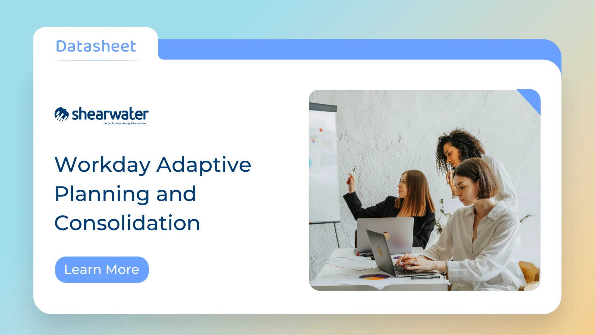 Workday Adaptive Planning and Consolidation - Shearwater Asia