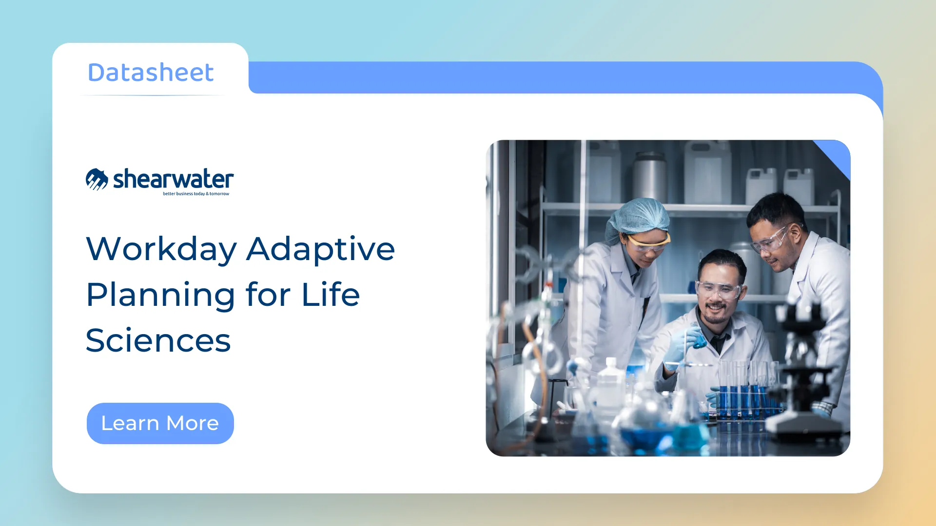 Workday Adaptive Planning For Life Sciences Shearwater Asia