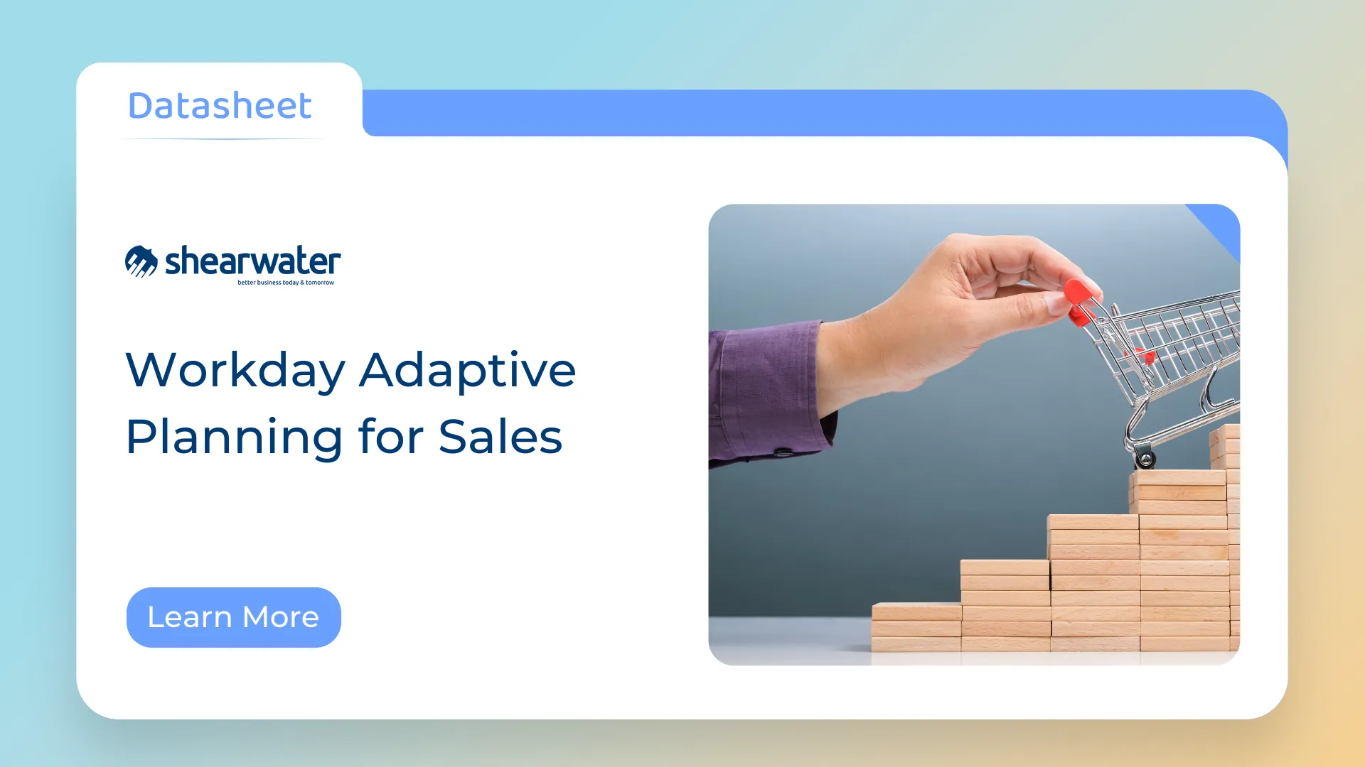 Workday Adaptive Planning- Sales Planning Datasheet - Shearwater Asia