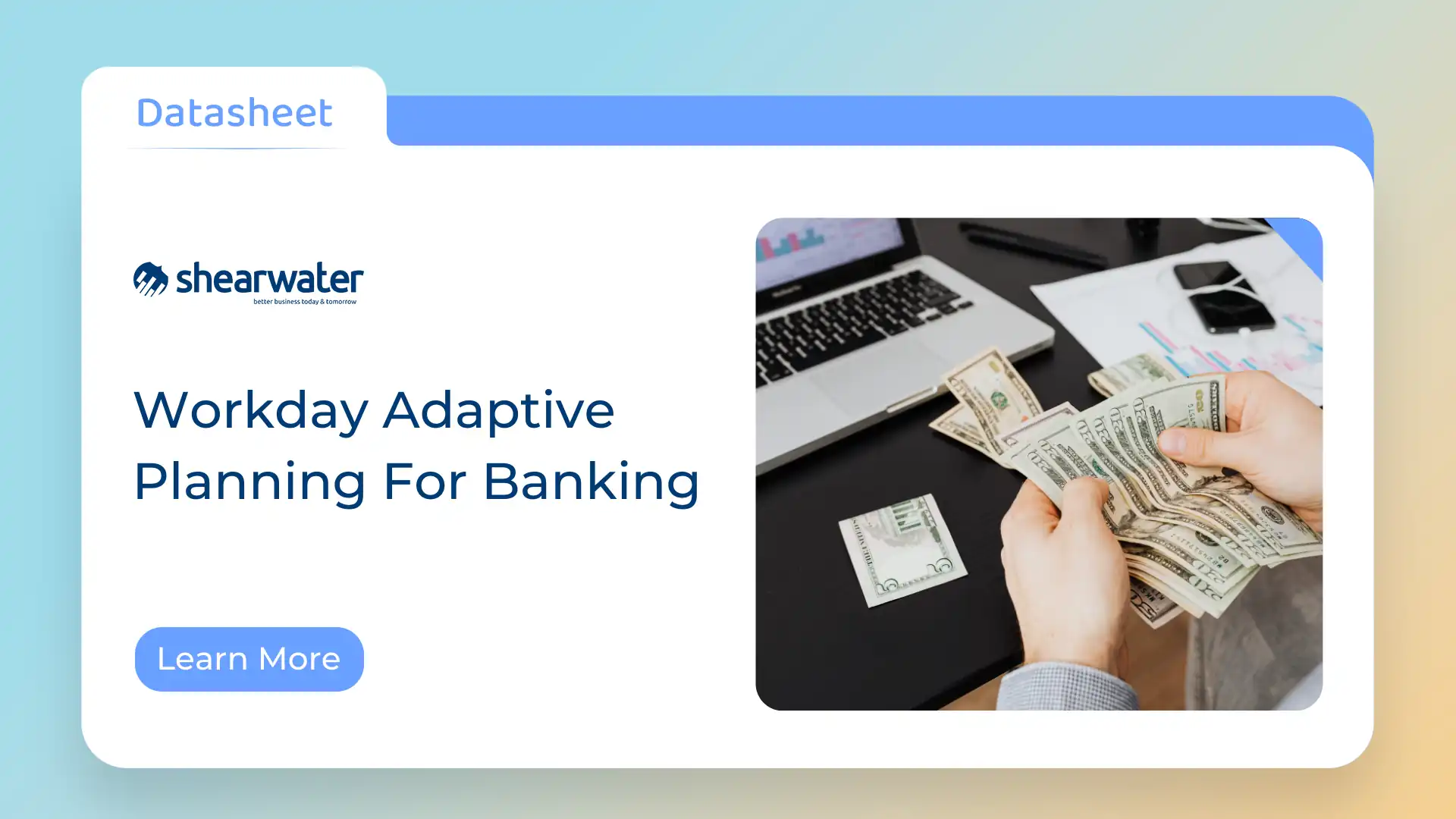 Workday Adaptive Planning for Banking - Shearwater Asia