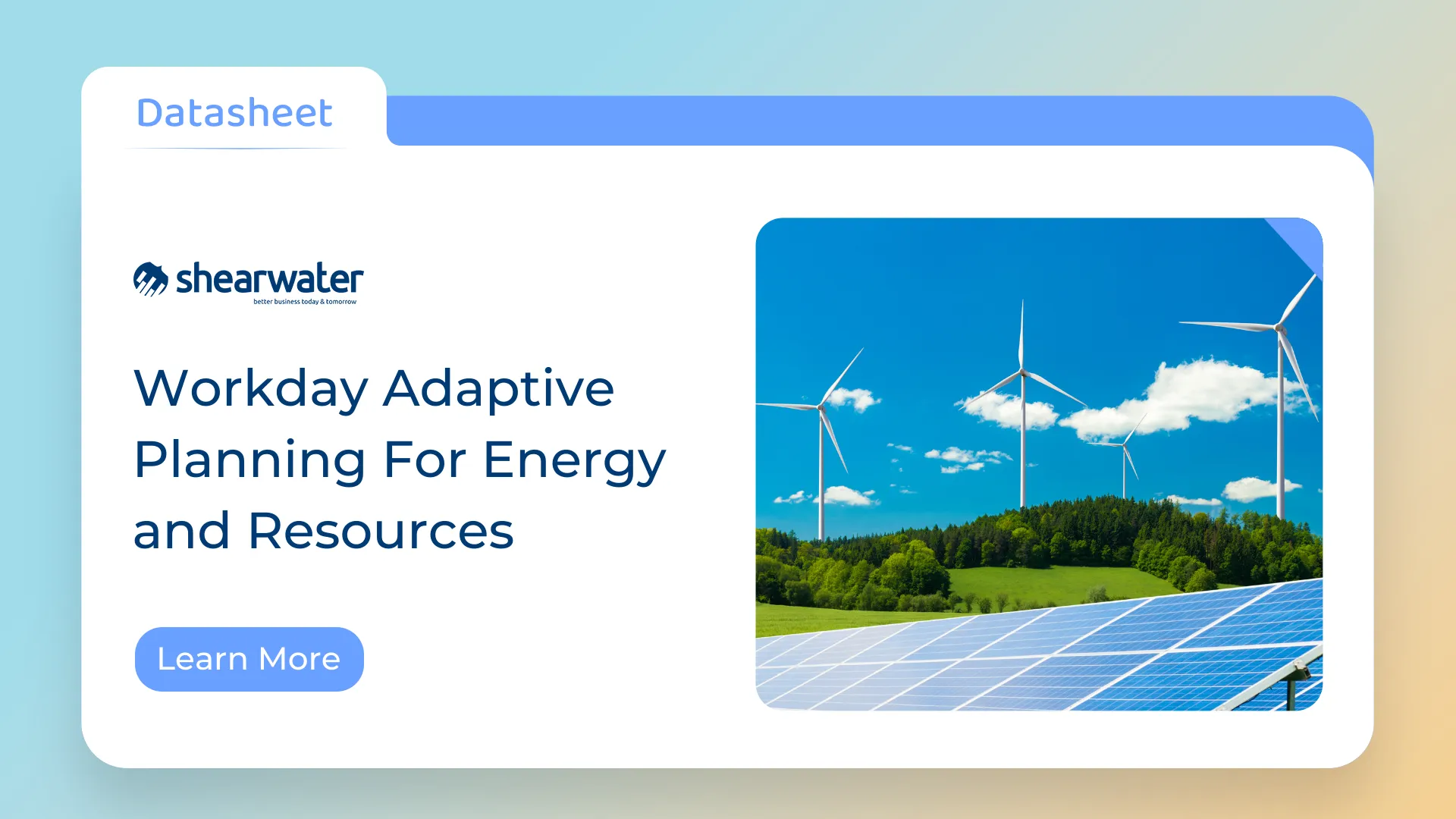 Workday Adaptive Planning For Energy and Resources - Shearwater Asia